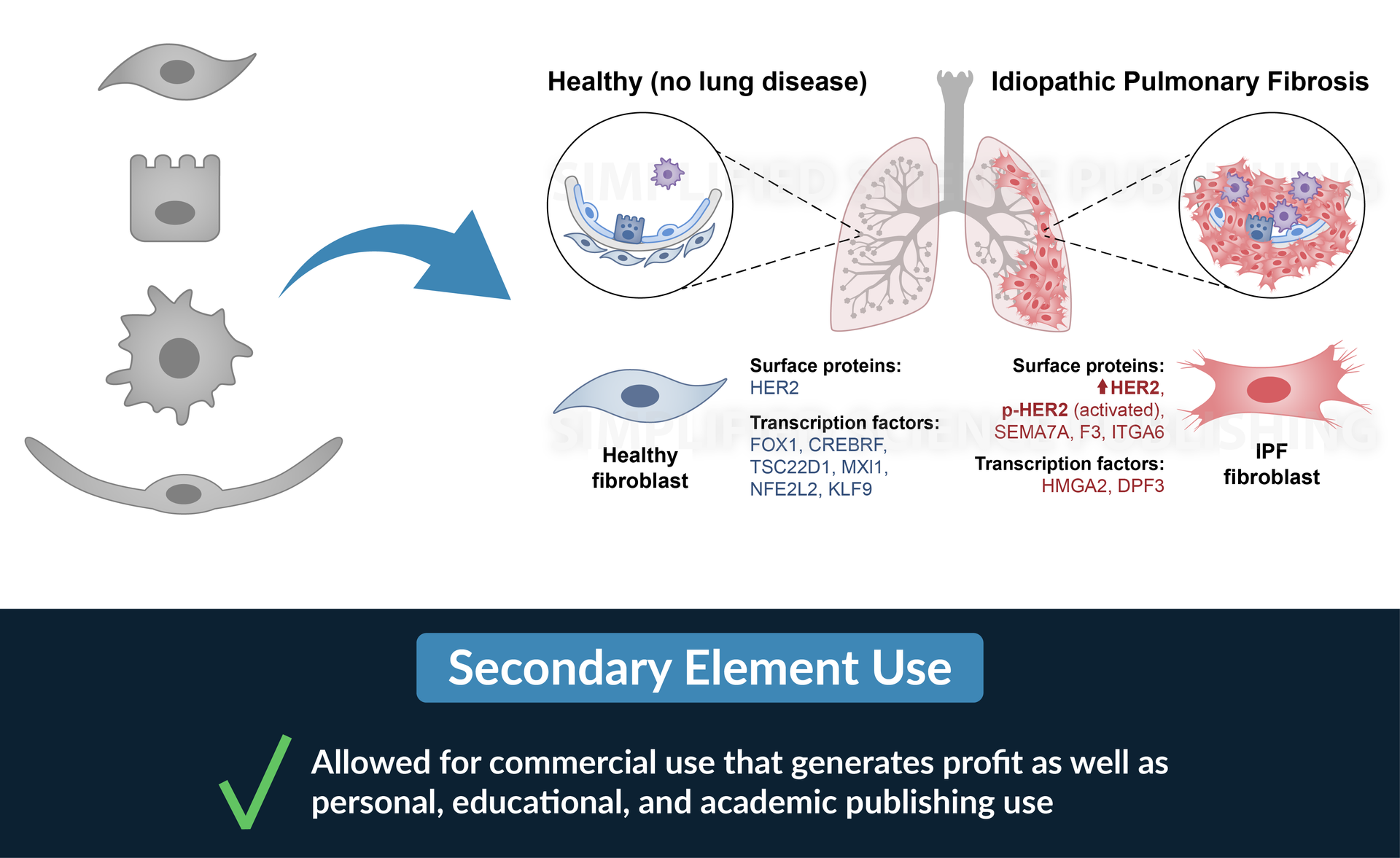 How to Use Simplified Science Publishing Content