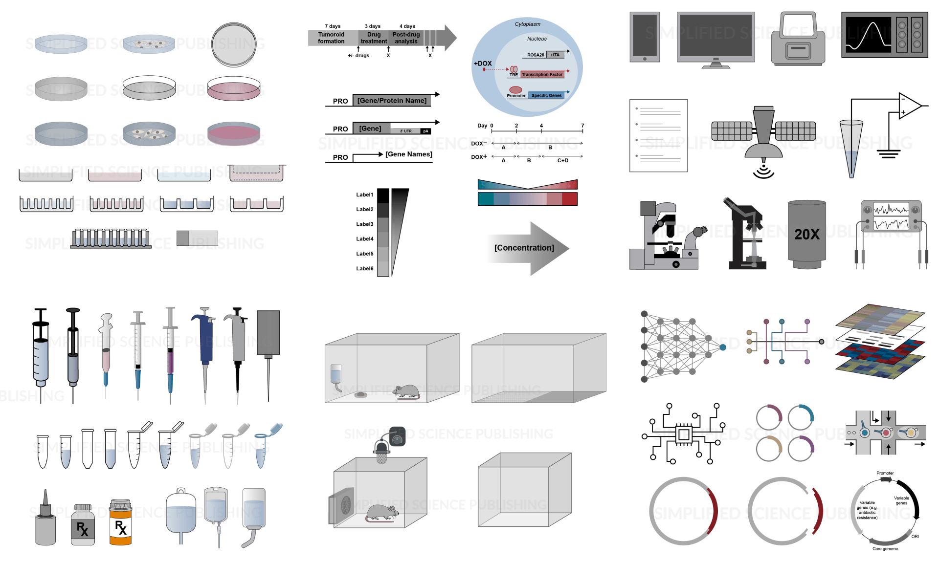 Scientific Drawings of Animals and Research Illustrations