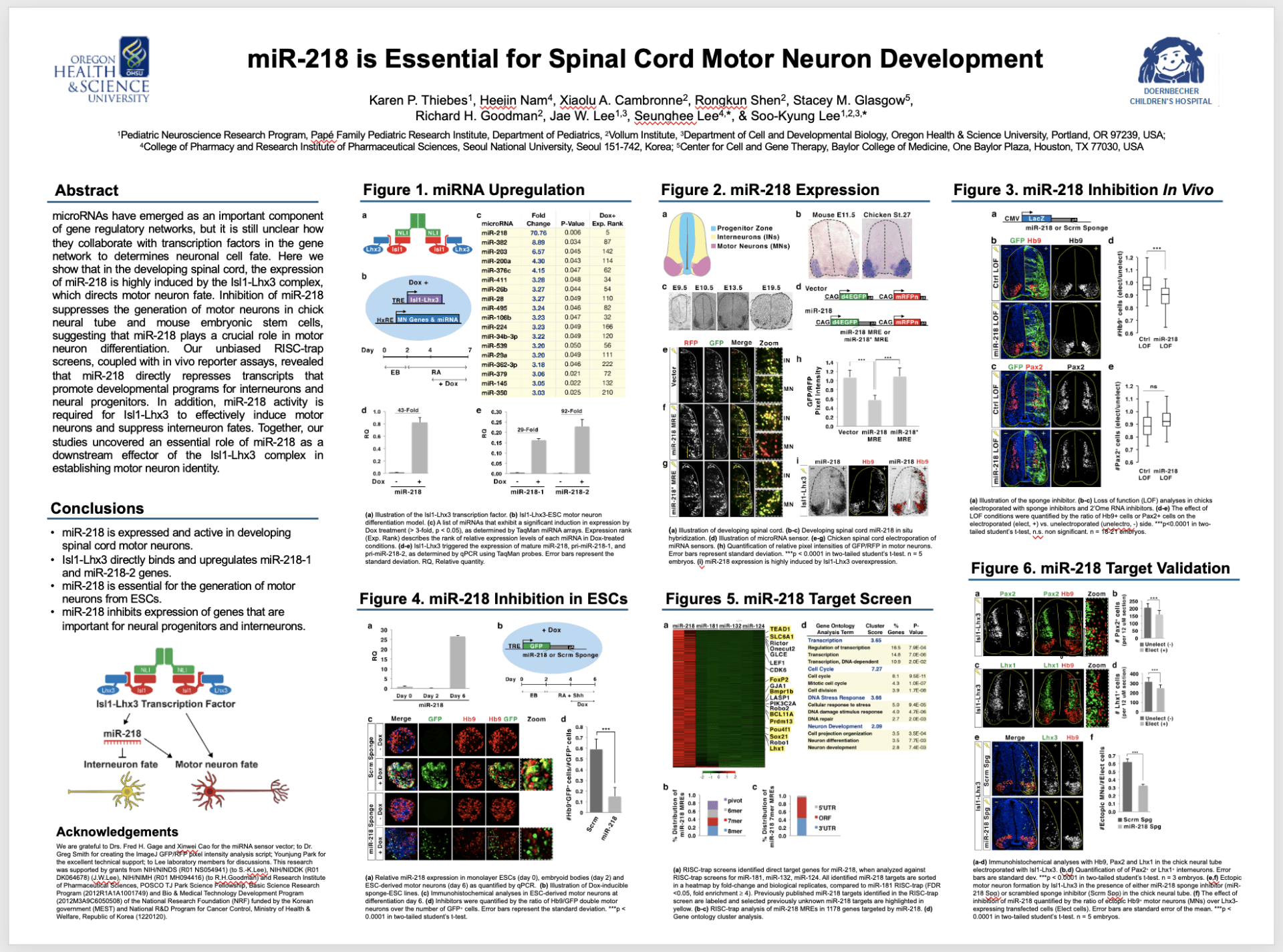 Free Research Poster Templates and Tutorials