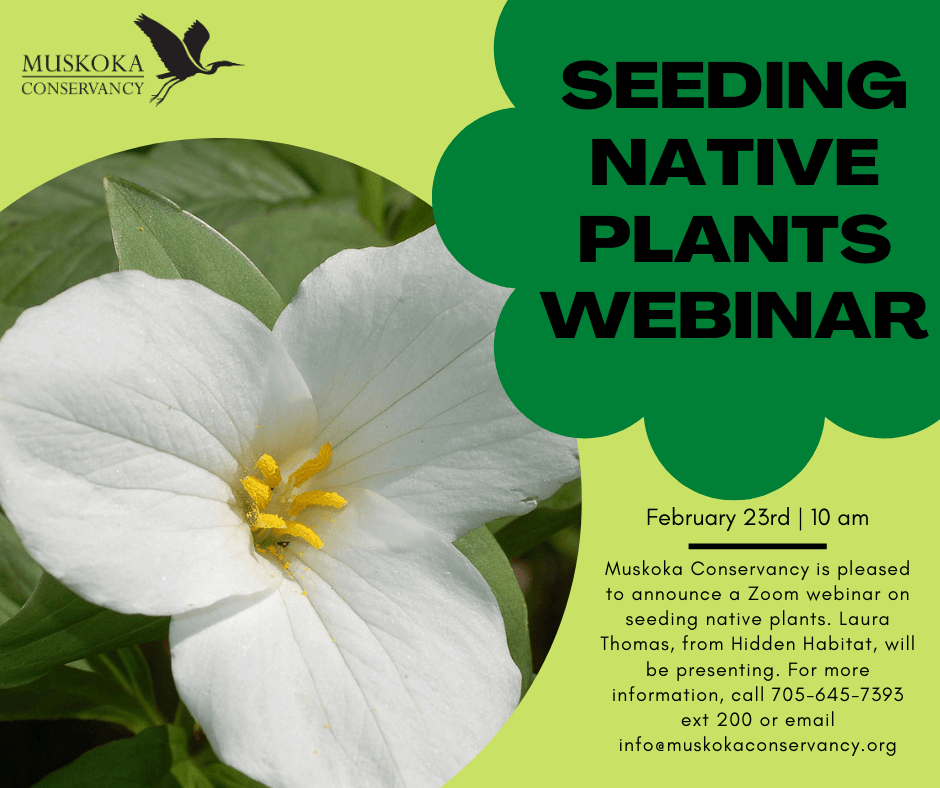 February Webinar ~ Seeding Native Plants