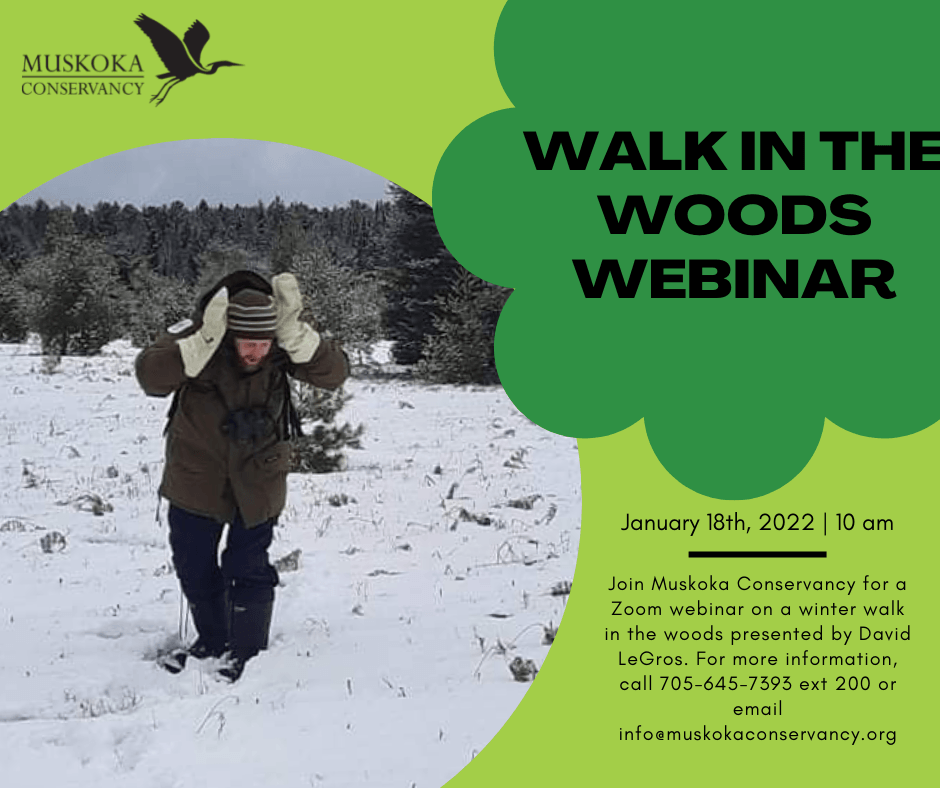 January Webinar ~ Winter Walk in the Woods