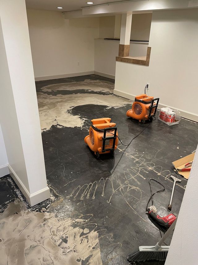 Waterproof Basement Flooring Options