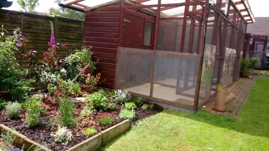 Cat chalet, Highfield Cat Hotel