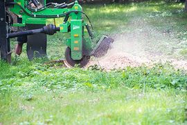 Arbor Tech Tree Care | Lakeland, FL | Tree Service Company