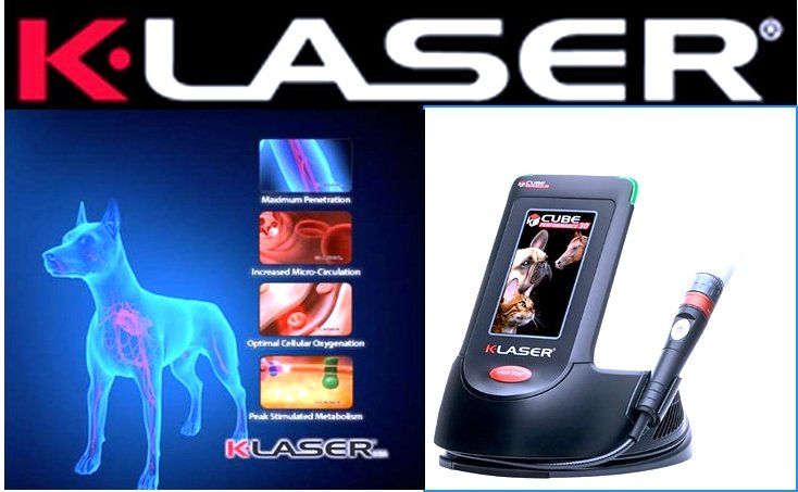 Animal Hospital - Rancho Cucamonga, CA - Baseline Animal Hospital