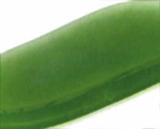 The history, meaning, types and how to choose a pounamu/greenstone! All ...