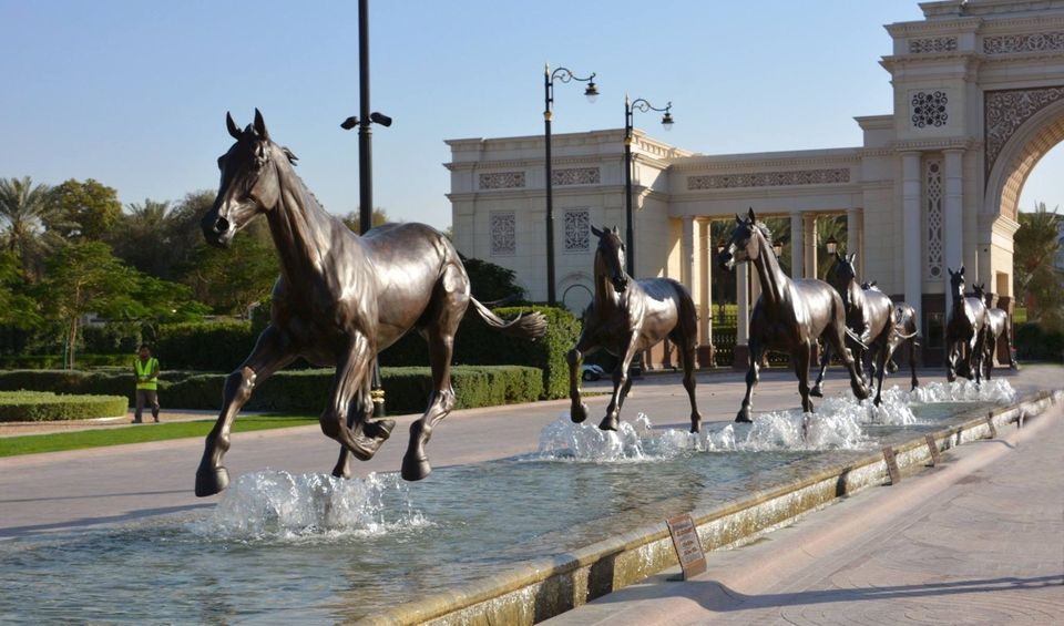 Gestione del cavallo sportivo, fisioterapia e riabilitazione - Equidoc ...