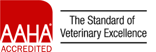 Blog | Animal Family Veterinary Care Center