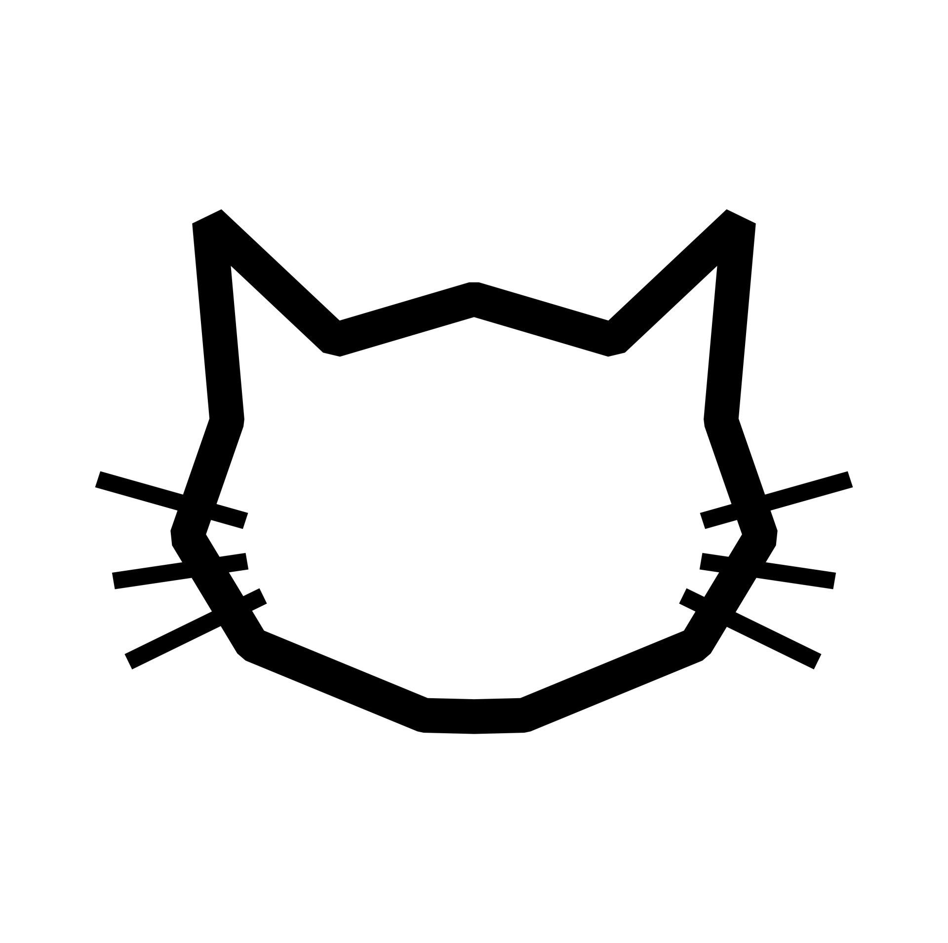 FurryFritz Commercial Cat Photography Nils Jacobi furryfritz-commercial-cat-photography-nils-jacobi