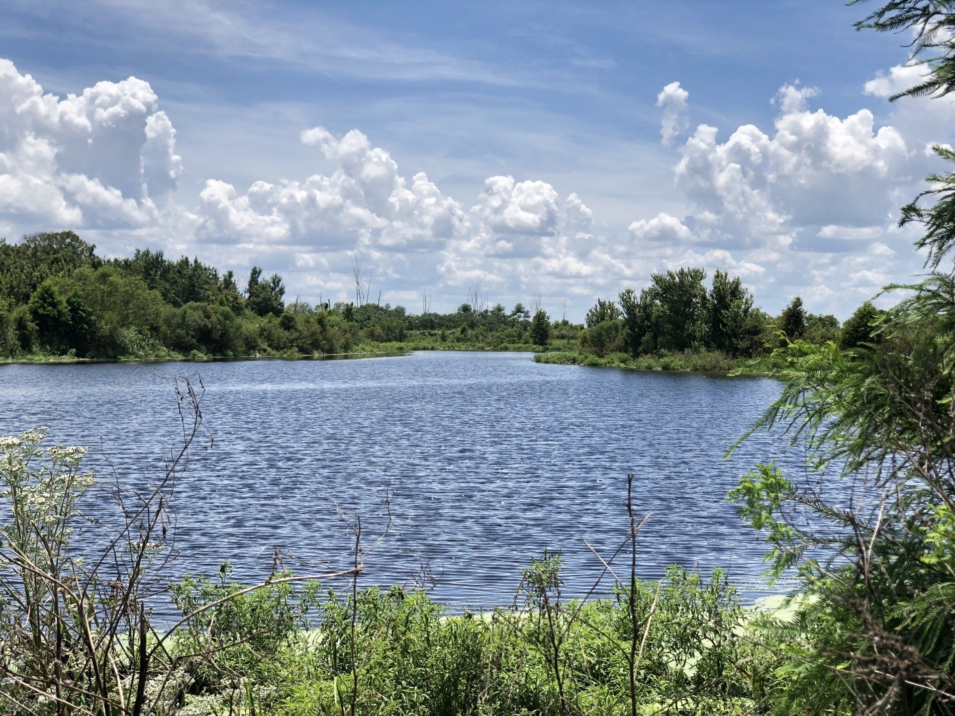 Freytech River and Lake Remediation and Algae Control - Environmental ...