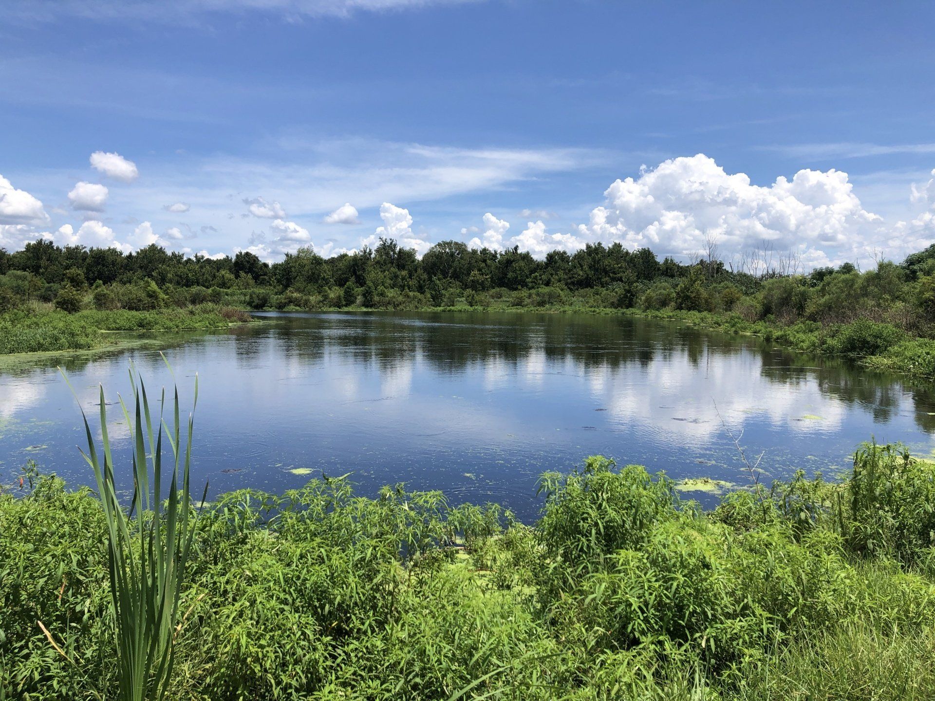 Freytech River and Lake Remediation and Algae Control - Environmental ...