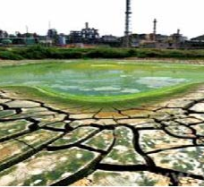 Freytech Environmental Balance Device (EBD)