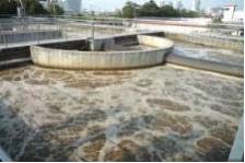 Freytech Environmental Balance Device (EBD)