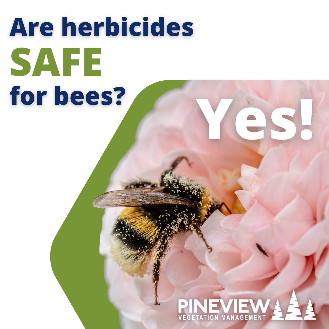 How SAFE are Herbicides? 🌱