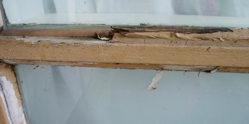 Window Replacement Franklin TN : What Causes Wood Rot