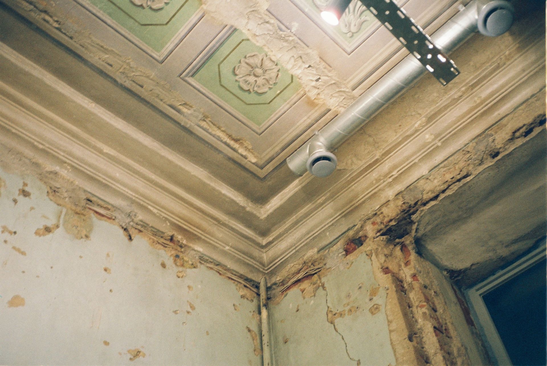 Mold Damage 101: Understanding the Impact on Residential and Commercial ... Mold Damage 101: Understanding the Impact on Residential and Commercial ...