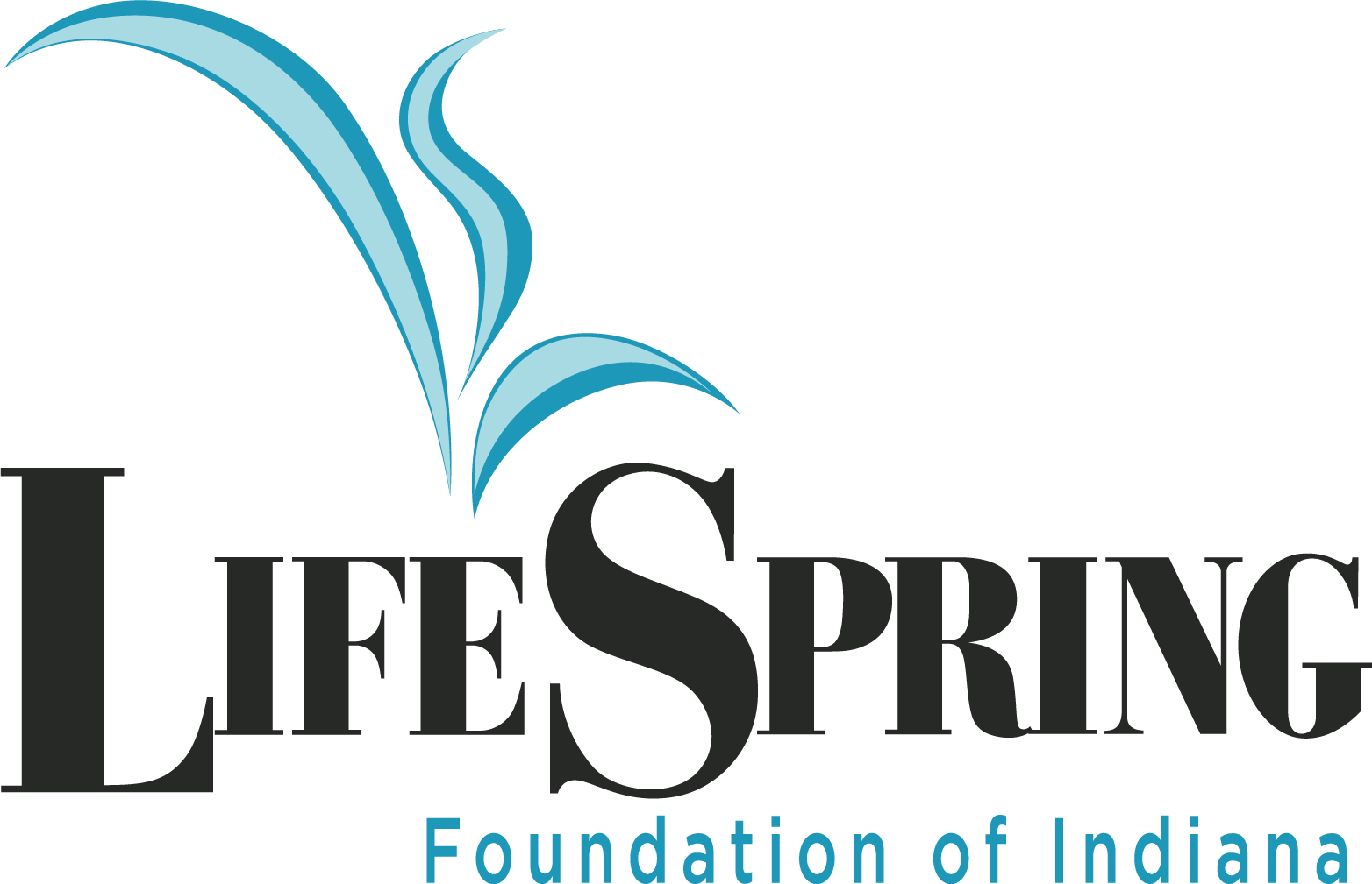 Healthcare Initiatives | LifeSpring Foundation | IN