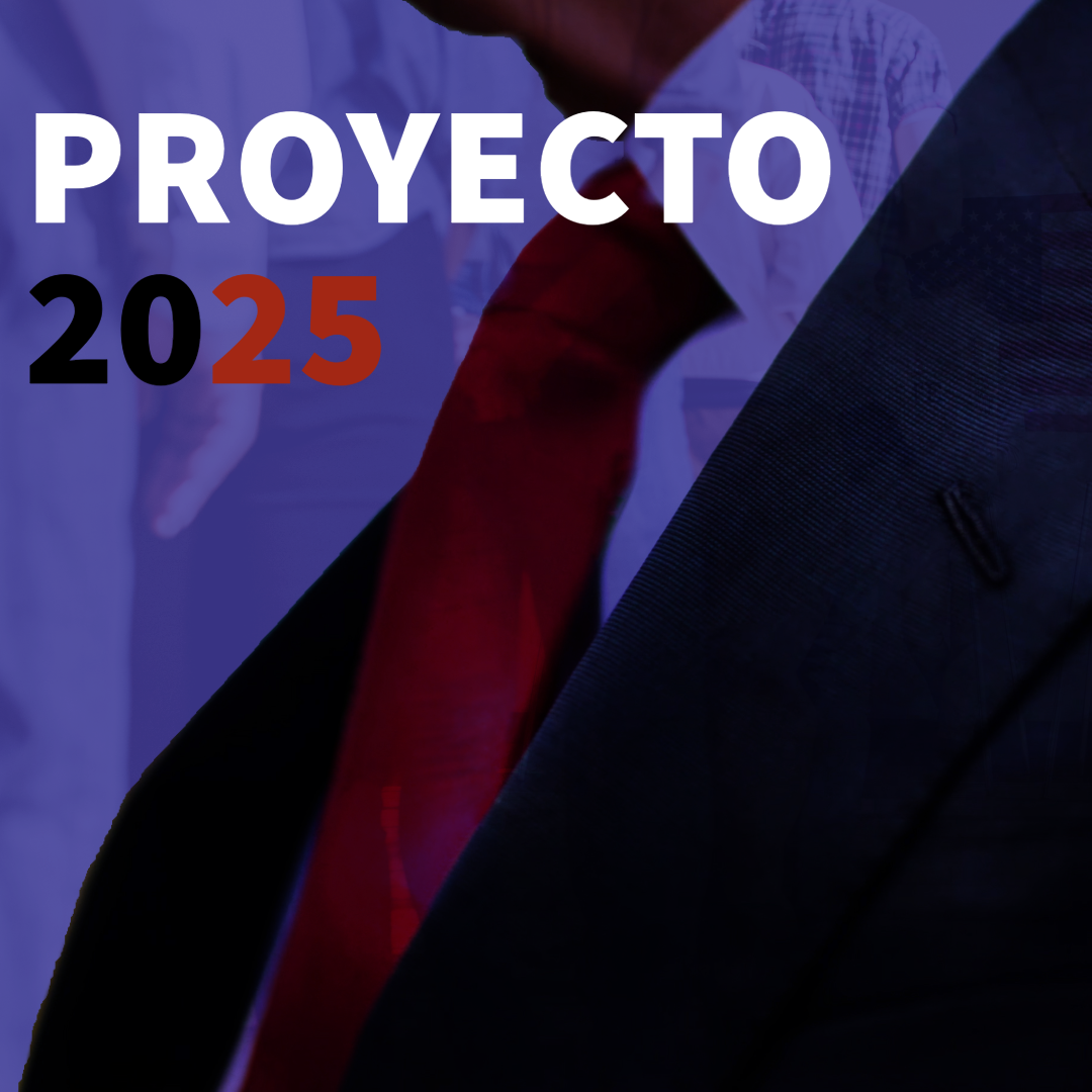 PROYECTO 2025