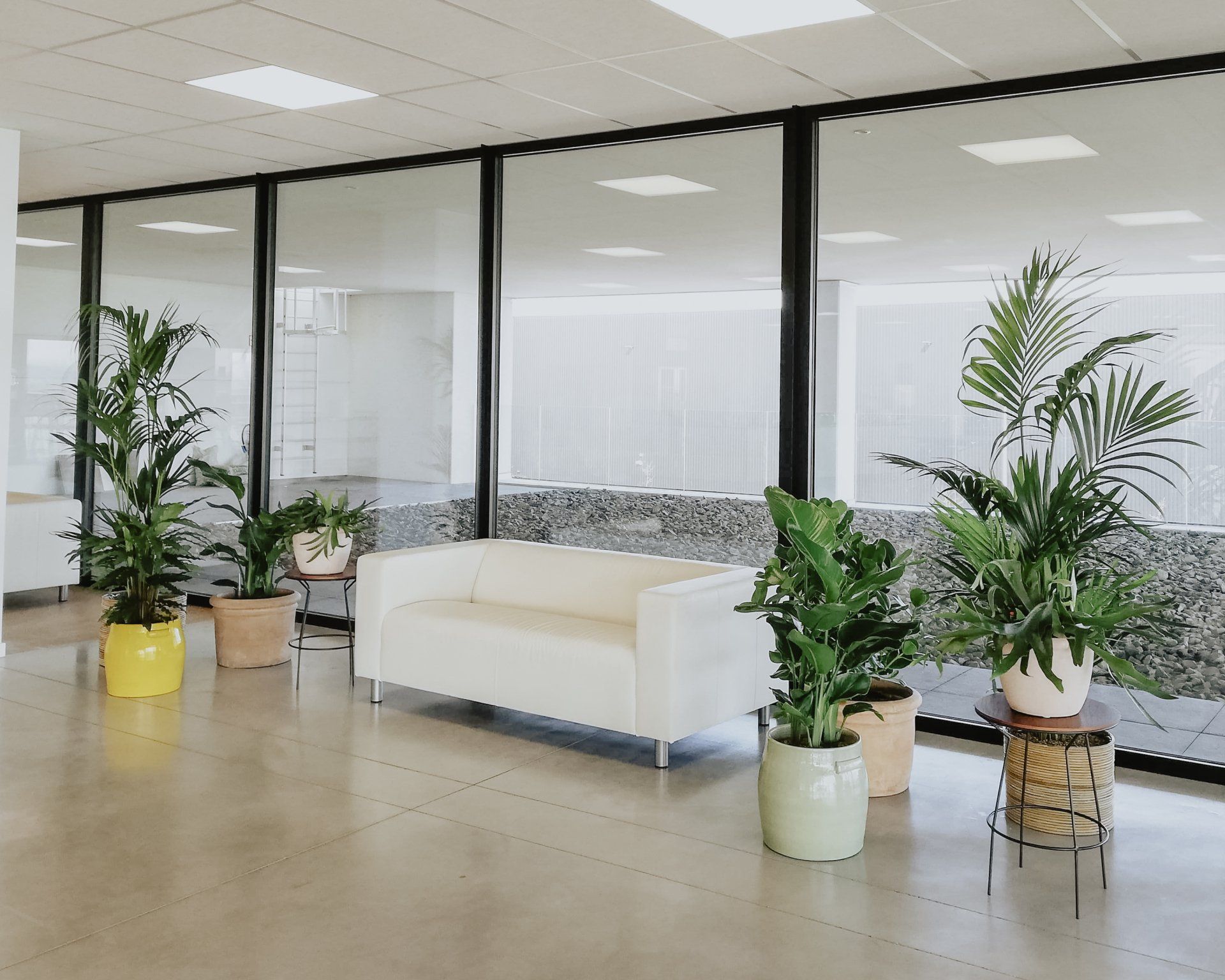 In & Out Concepts | Where nature meets business | Home