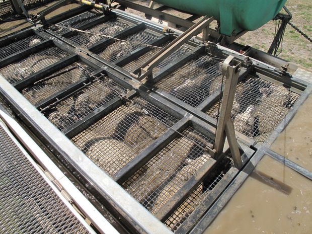 Services - Dippingdynamics.com.au