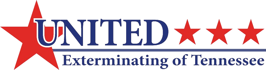Exterminator | Springfield, TN | (615) 868-6655