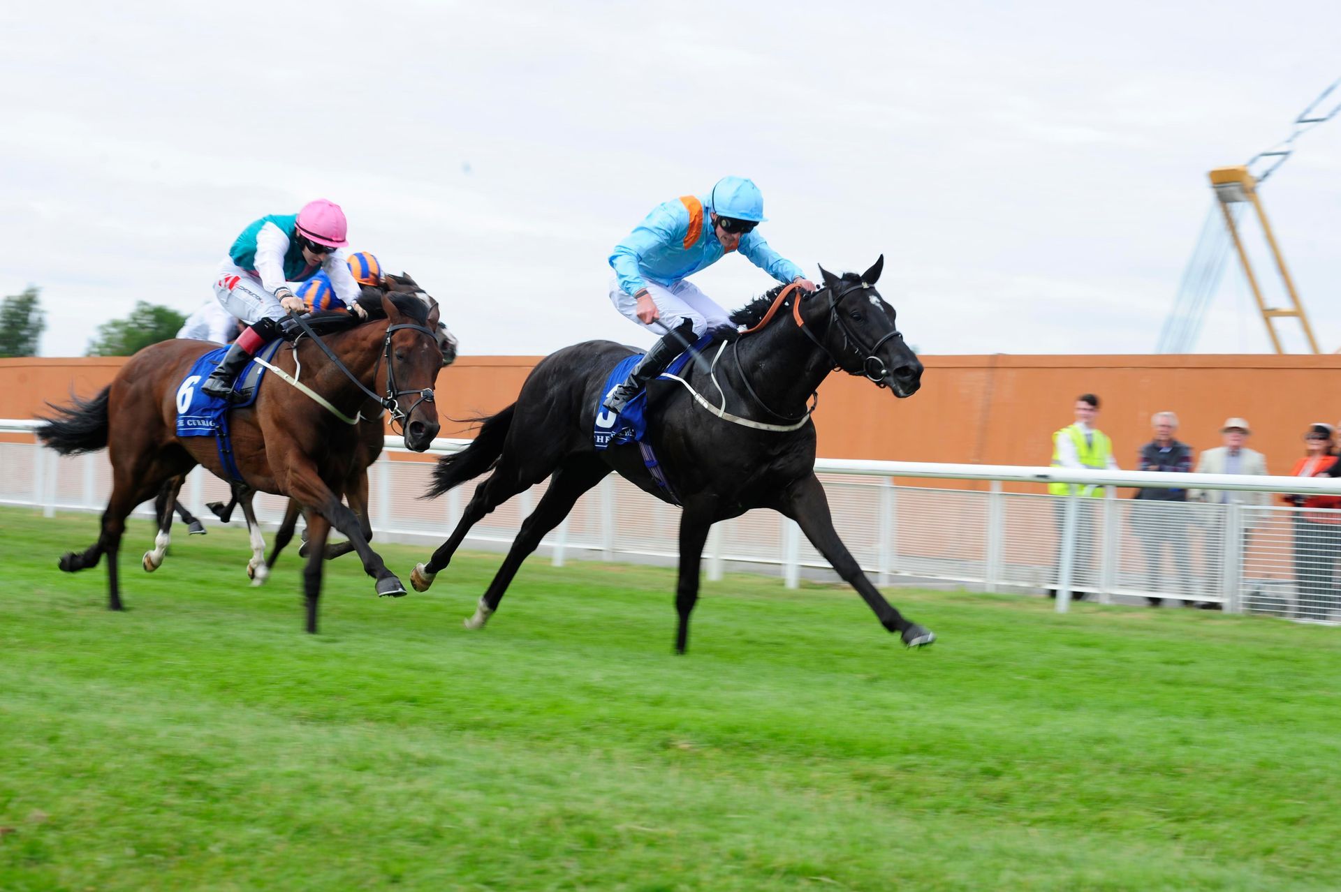 Stallion Services | Diamond Stud Bellewstown | Ireland