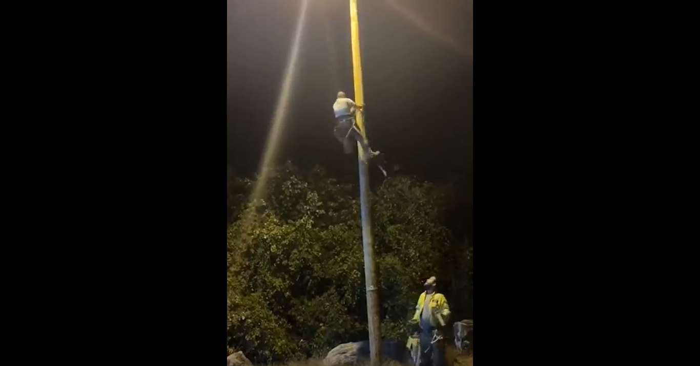 Lineman Loses His Footing While Climbing Phone Pole🤯