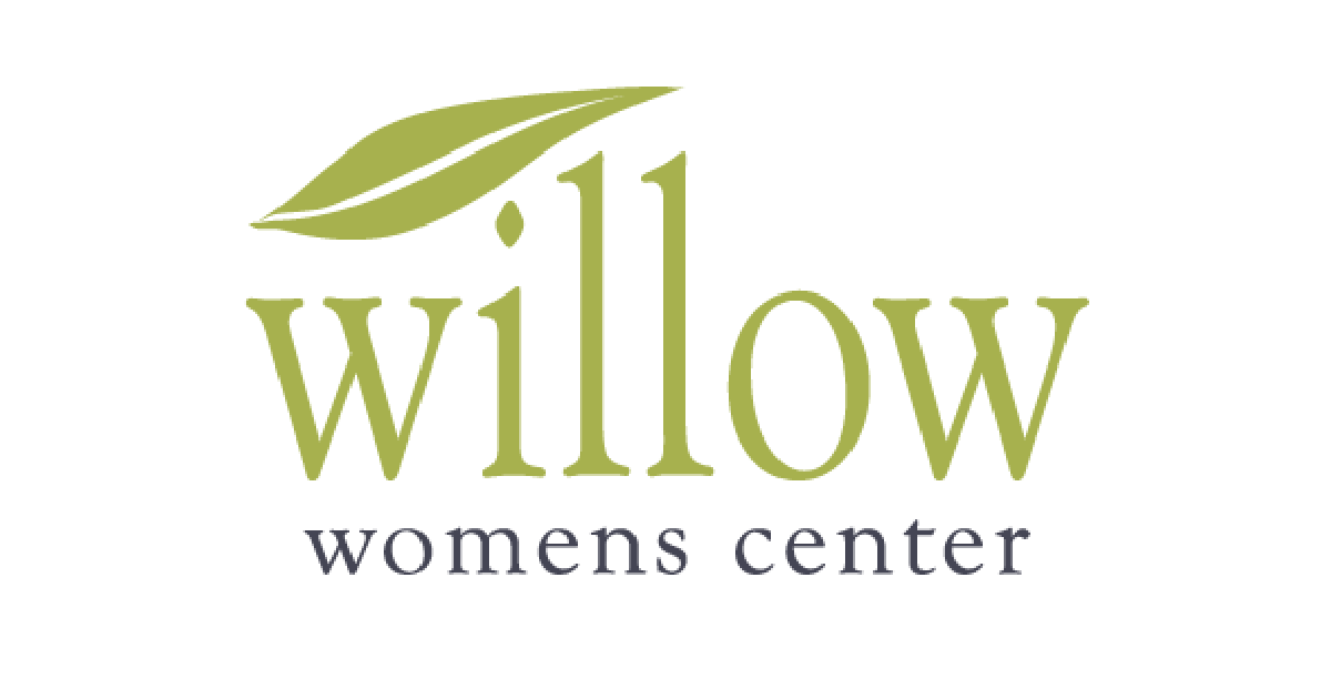 Bright Course Parenting Class | Willow Womens Center