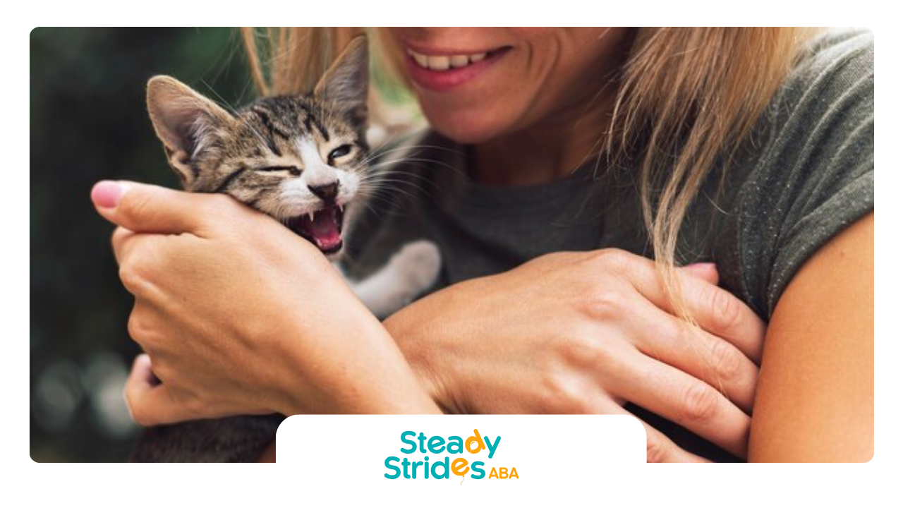 Understanding Autism Symptoms in Cats | Steady Strides ABA
