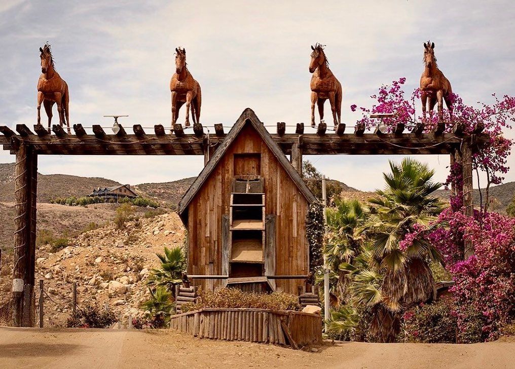 Maple Resort, B.C. | Sitio Oficial