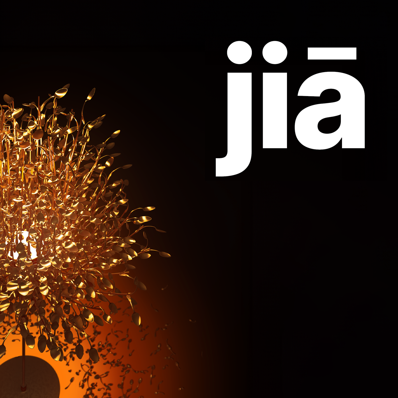 Jia Jia
