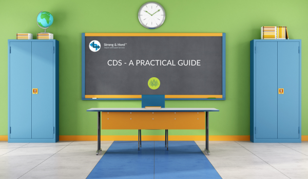 The Customs Declaration Service (CDS) Update Version 4.6.0