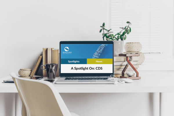 A Spotlight on: CDS The Customs Declaration Service