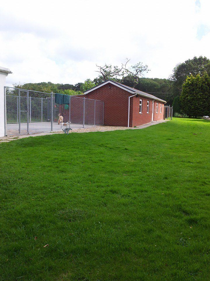Dog kennels | Doggy Paddles Canine Country Retreat