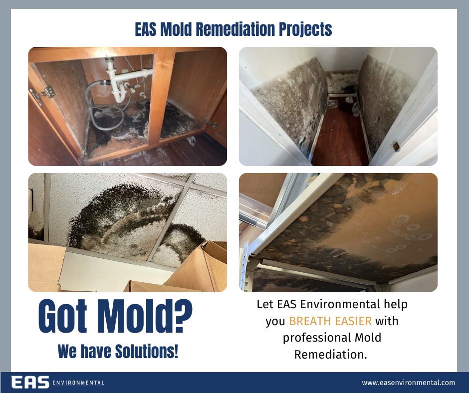 Restoration Company Near Me in Charleston - Easenvironmental.com