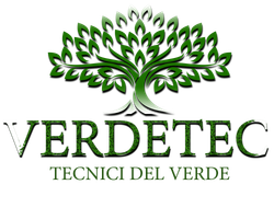 Verdetec | Realizzazione aree verdi | Roma, RM