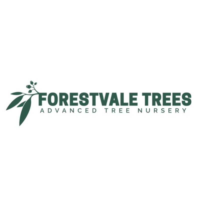 Current Stocklist | Forestvale Trees | Perth, WA