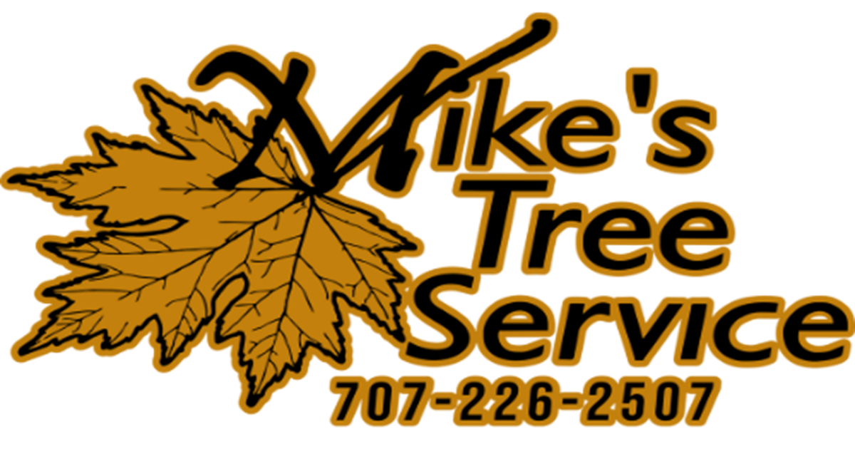 Tree Care Tips & Insights | Mike’s Tree Service Blog – Napa, CA