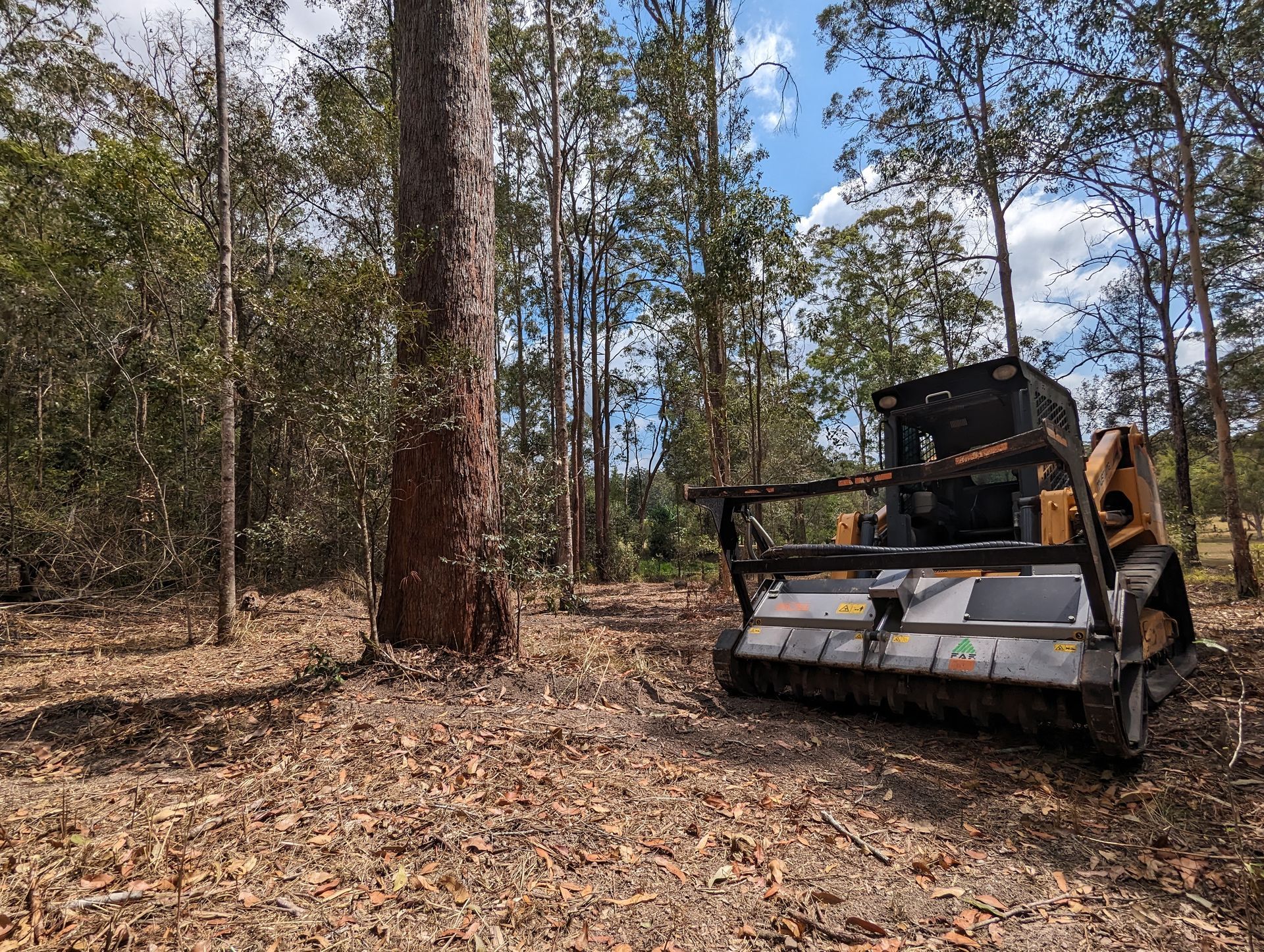 Land Clearing Sunshine Coast | Impact Forestry Mulching