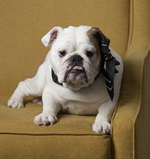 Funeral Directors and Staff | Vescio Funeral Homes