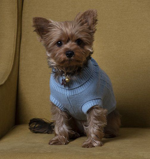 Funeral Directors and Staff | Vescio Funeral Homes