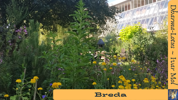 Ivar Mol in Breda, Wolfheze en op Ekãyano