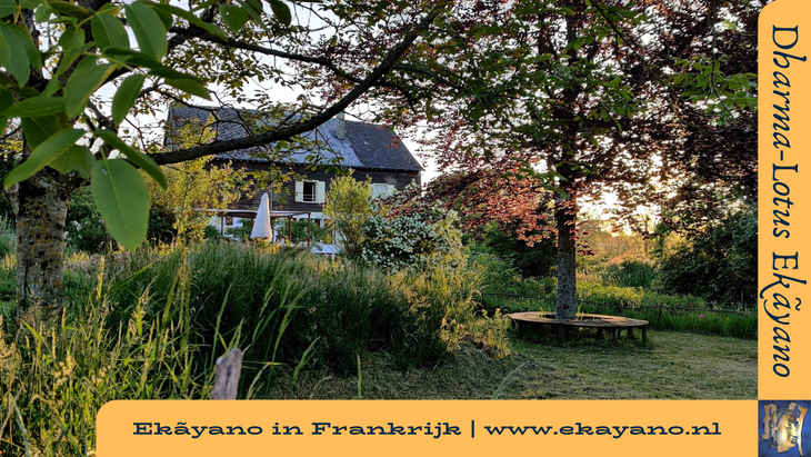 Ivar Mol in Breda, Wolfheze en op Ekãyano