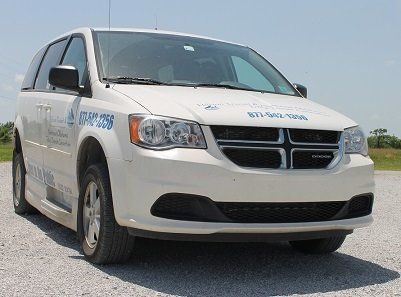 Home [pelivantransit.org]