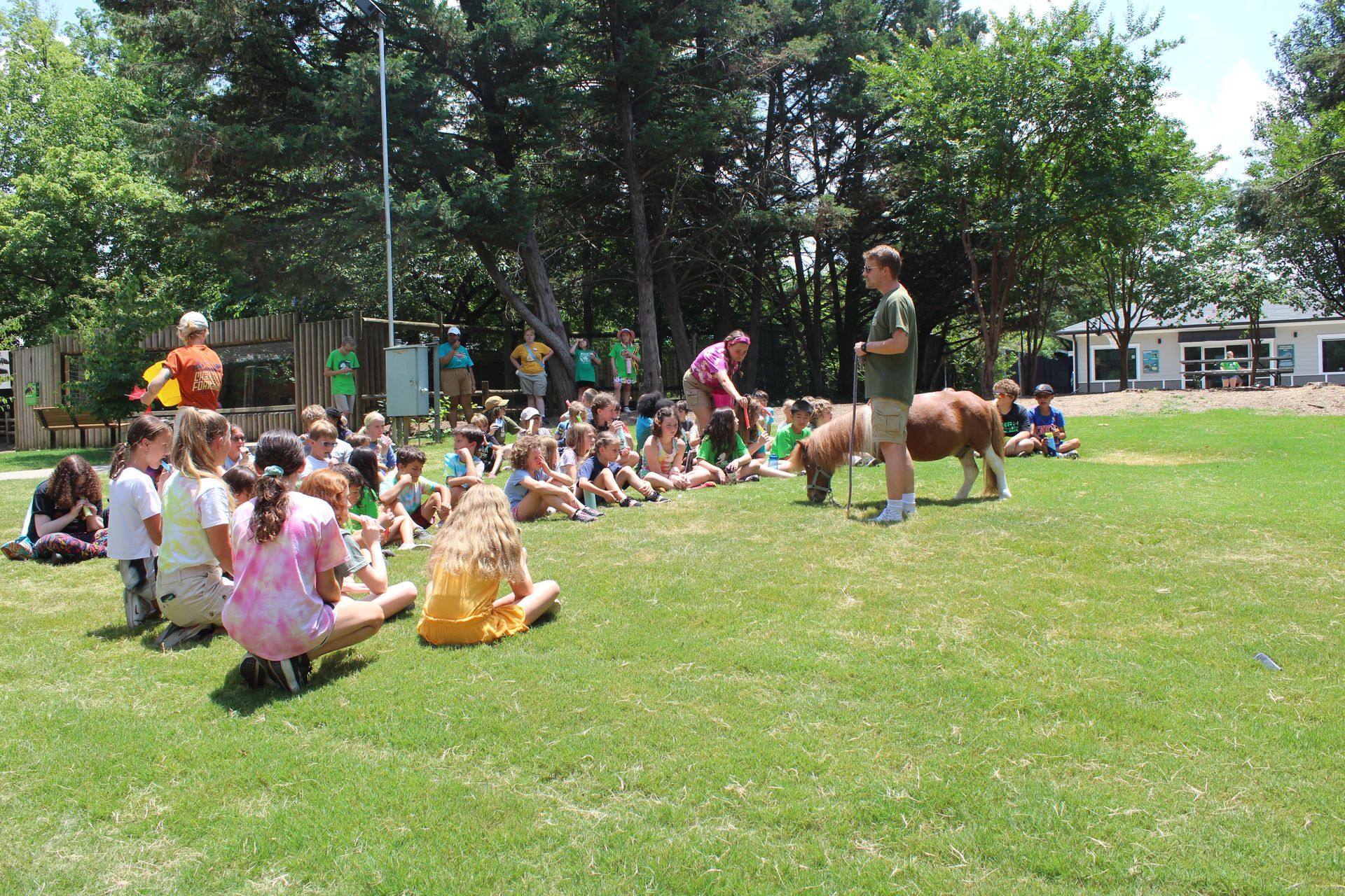 Zoo Camp | Chattanooga Zoo Summer Camp