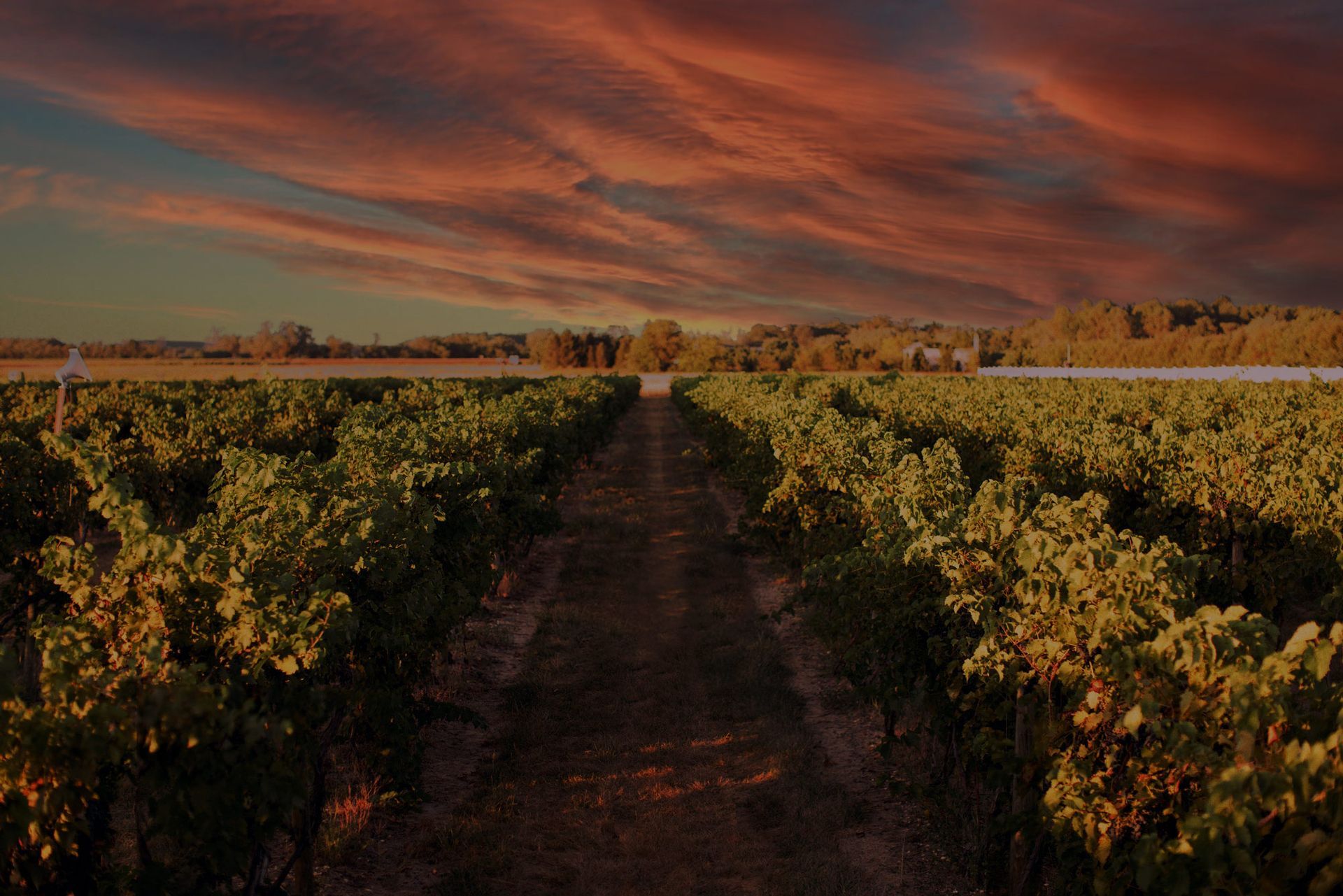Tomasello Winery