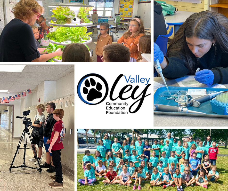 OVCEF Approved Funding for 18 Education Grants for the 2024-2025 School ...