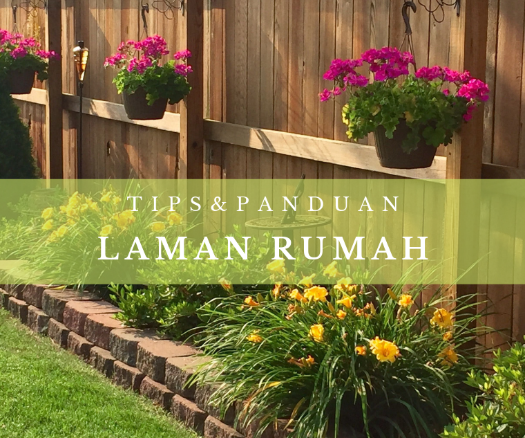 cara tanam pokok bunga pagar - Edward Mackay