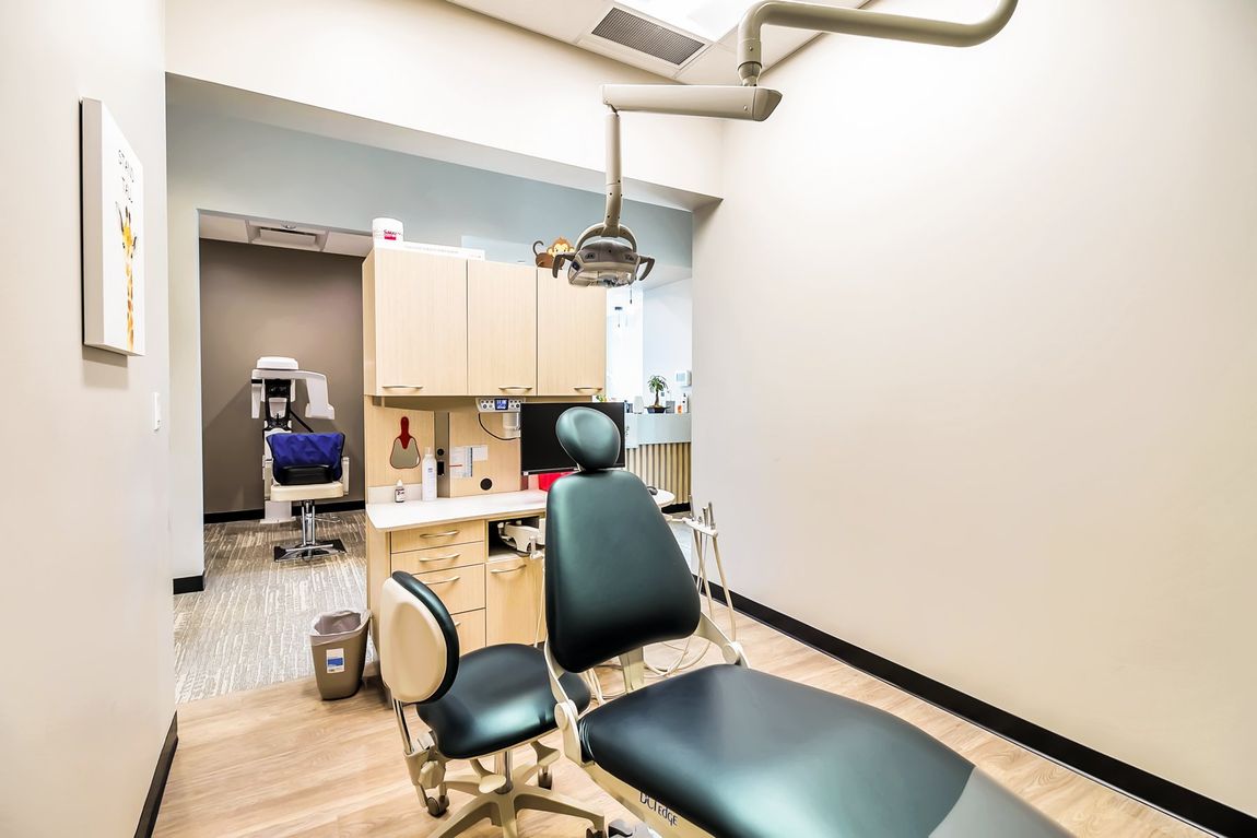 General Dentist Denver, CO | Safari Smiles - Kids Dental Denver