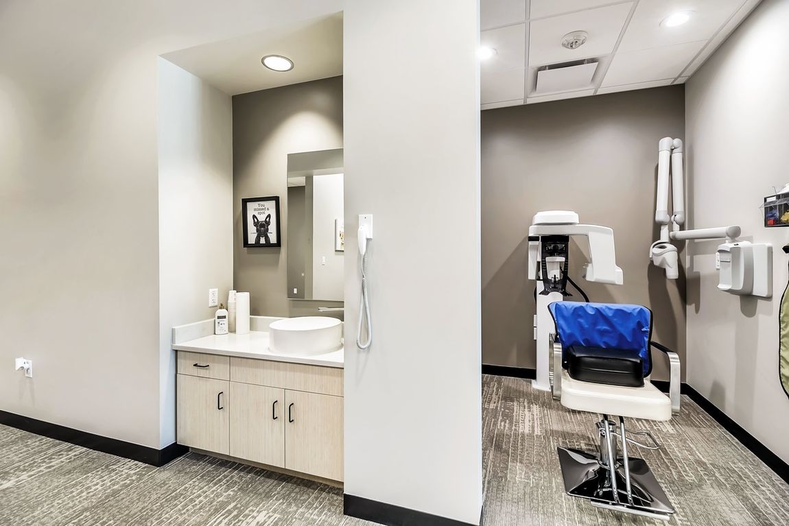 General Dentist Denver, CO | Safari Smiles - Kids Dental Denver